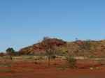 Red Dog (Movie and Book) | Whispering Gums