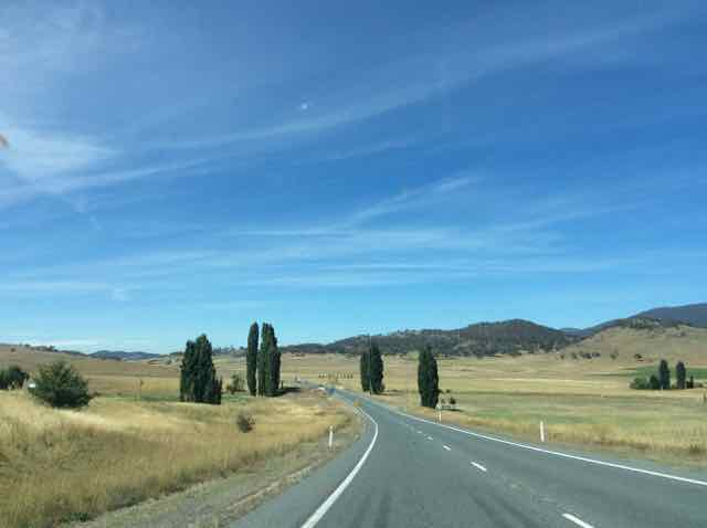 Louisa Atkinson, A voice from the country: January (Review ...